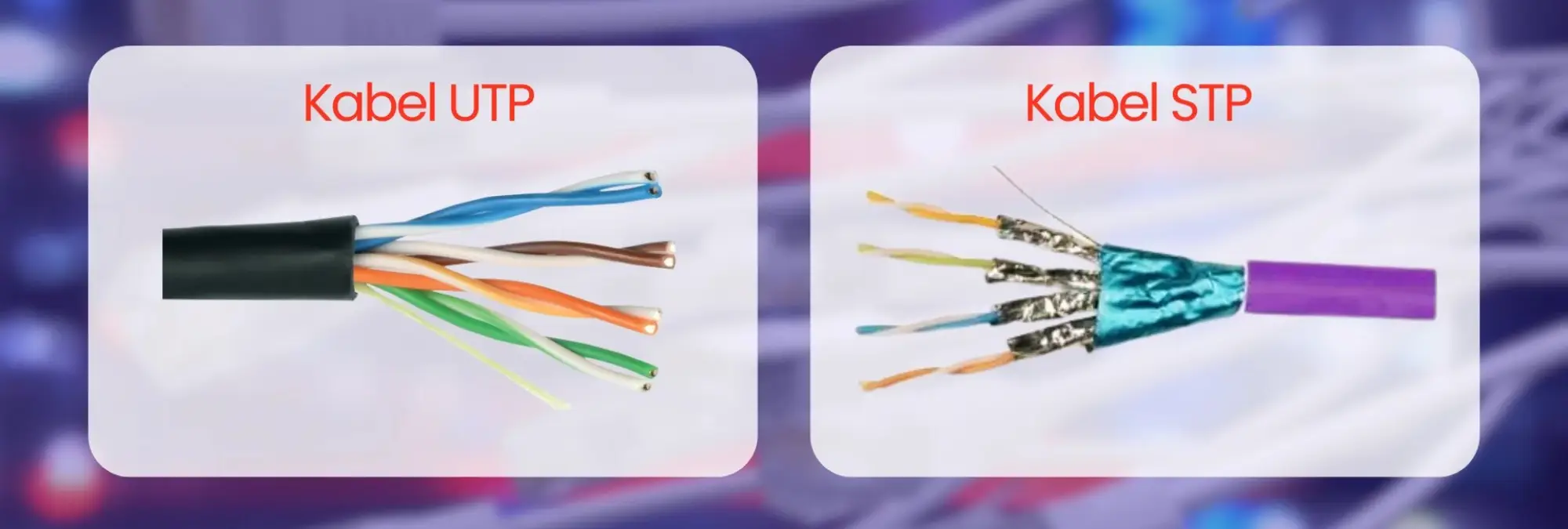Kabel UTP dan STP: Perbedaan, Fungsi, dan Cara Memilih - GSI Indonesia